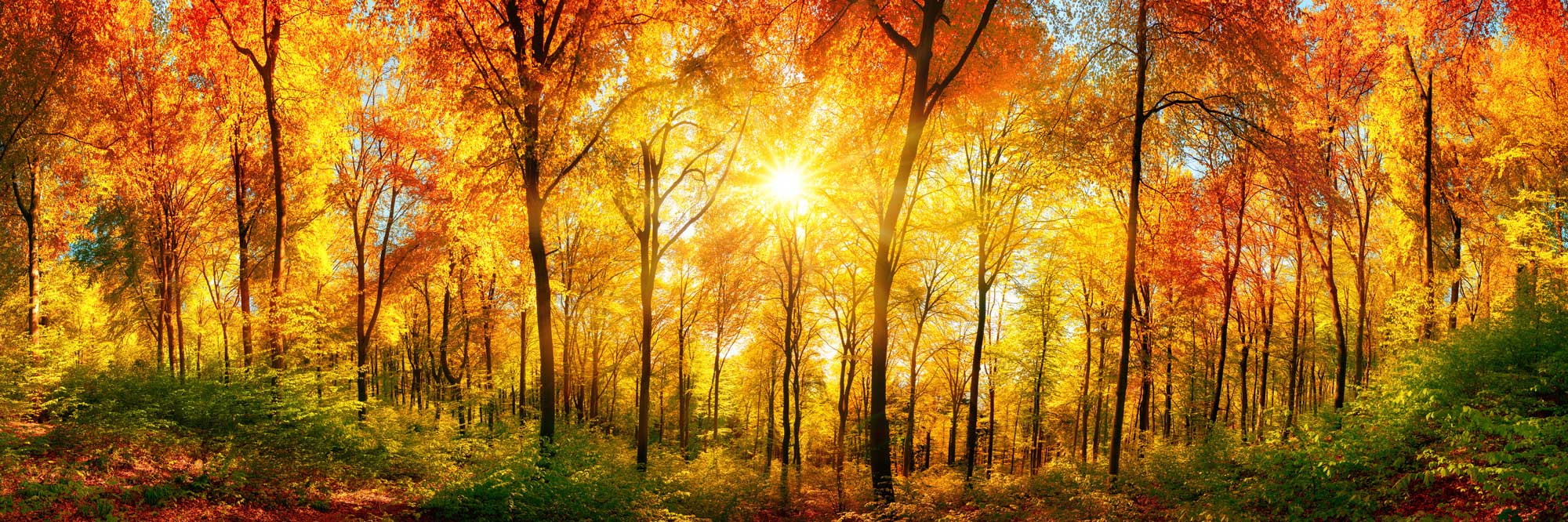 Ten Best Uses for Blankets This Fall - American Blanket Company